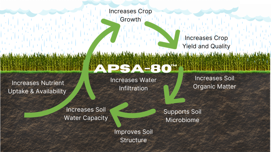 Reduce Compaction - Liquid Soil Conditioner & Aerator